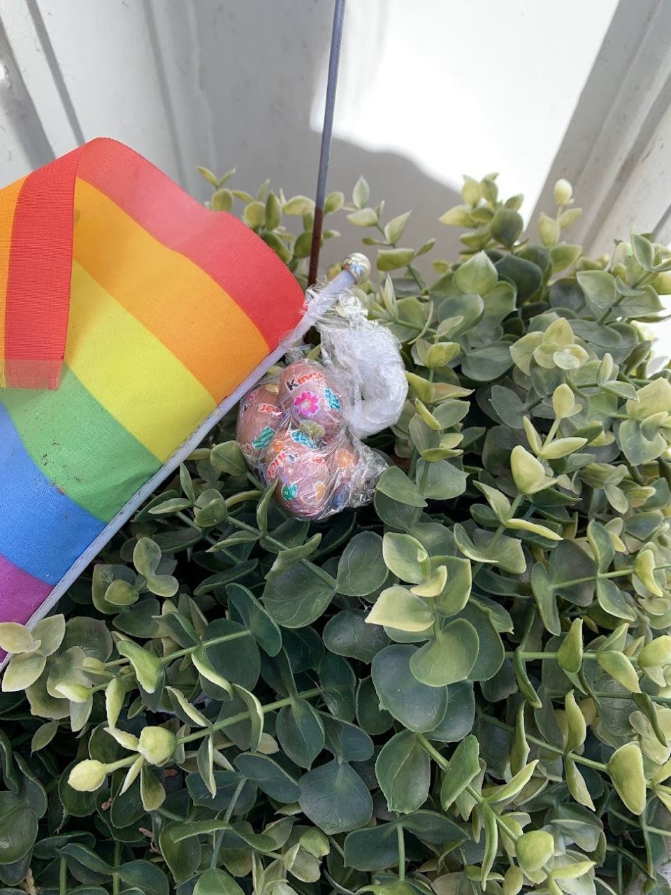 Easter Egg - YOLO -life in Canada-